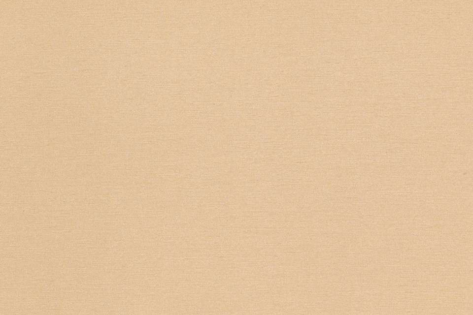 OFS - Nishiki 2.0 Grain